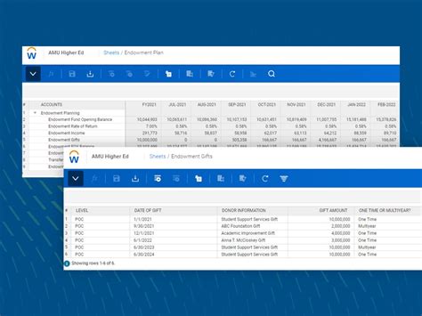 Endowment Planning For Higher Education Workday Marketplace