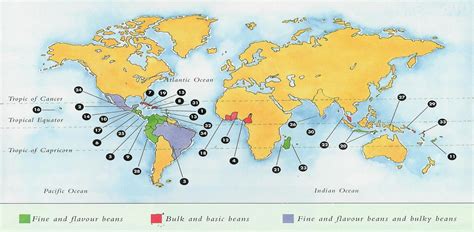 About Cocoa Alouss Chocolate Makers