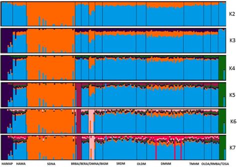 bayesian clustering performed with admixture software on moroccan and