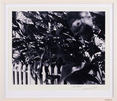 Alexander Pihl Utan Titel C Print 39 X 51 Cm Konst Fotografi