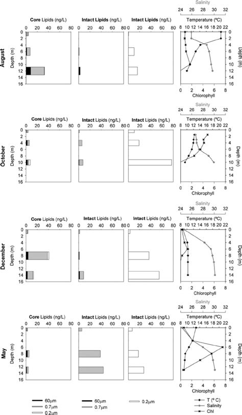 Concentrations Of Core And Intact Gdgts In Size Fractionated Particles Download Scientific