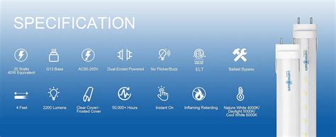 T Vs T Fluorescent Tubes Which One Fits Your Needs Better Luminosum Led Tubes Supplier