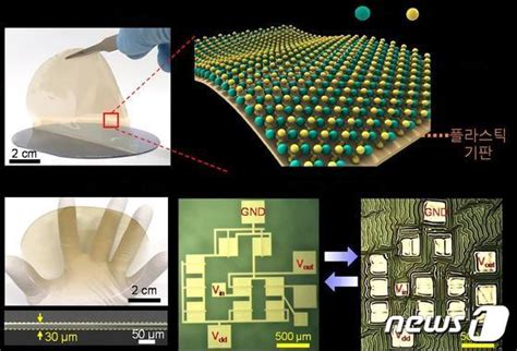 Korean Researchers Develop Low Temperature Growth Technology For 2d Semiconductor On Flexible