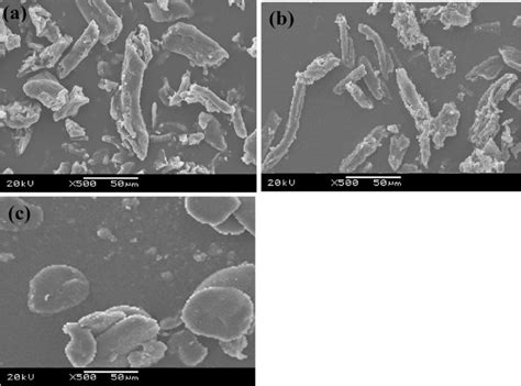 Sem Micrographs Of Mcc Samples A Mcc 0 B Mcc 1 C Mcc 2 Download