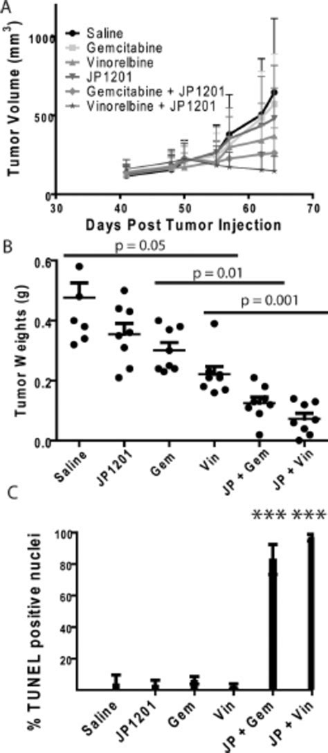 Jp1201 In Combination With Gemcitabine Or Vinorelbine Is Effective In