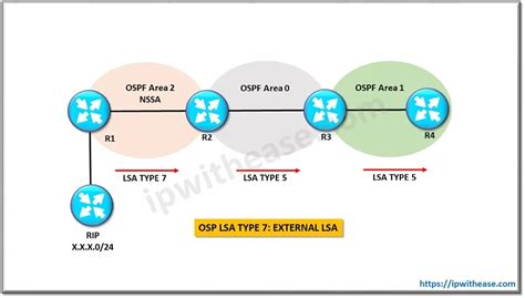 Ospf Lsa Ospf Part 6 Ospf Lsa Types Purpose And Function Of Every