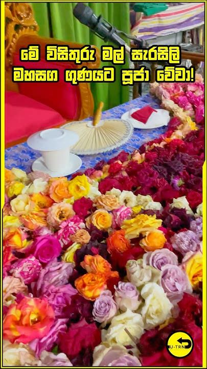 මේ විසිතුරු මල් සැරසිලි දැක බලා සතුටුව සාදු කියල යන්න ️ Youtube