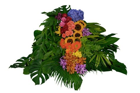 수국 해바라기 장미 그리고 하얀 배경에 분리된 나뭇잎이 있는 다양한 꽃들 결혼식과 사랑을위한 봄 꽃의 창조적 인 아이디어 절삭 경로 포함 0명에 대한 스톡 사진 및 기타