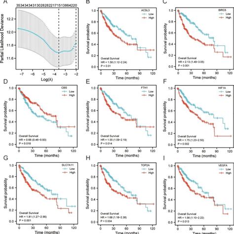 Visualization Of Lasso Regression Results And Km Curves Athe