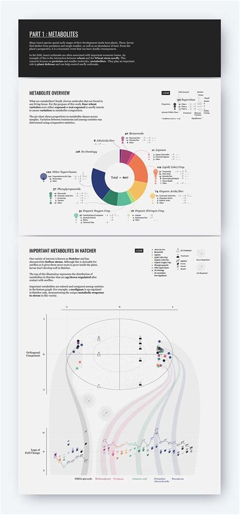 infographic a bug s life in wheat on behance infographic data visualization research