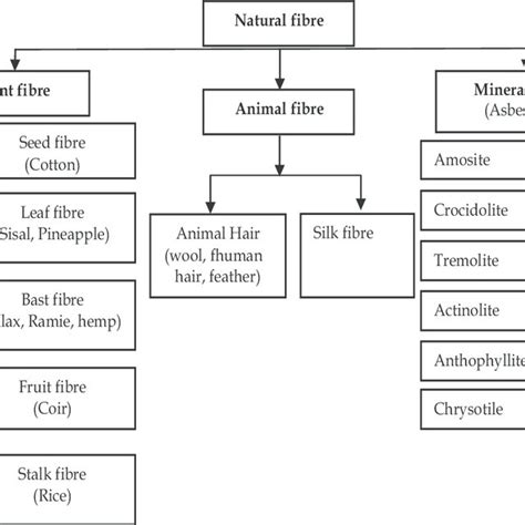 21 Flow Chart Of Asbestos Processing 6 Properties Of Natural Fibre