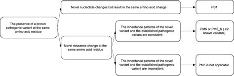 Recommended Ps1 Pm5 Decision Tree Download Scientific Diagram