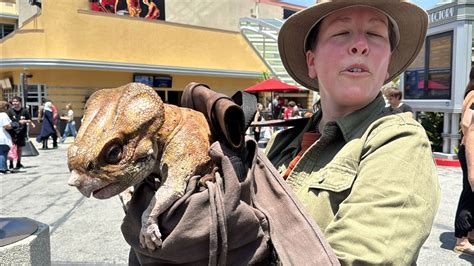 Video Photos Meet Dolores The Adorable Aquilops From Jurassic World