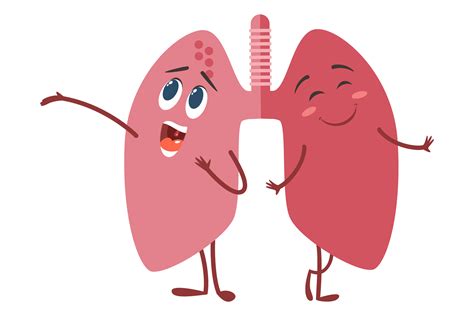 Human Lungs In Cute Cartoon Style Kawai Graphic By Onyxproj · Creative