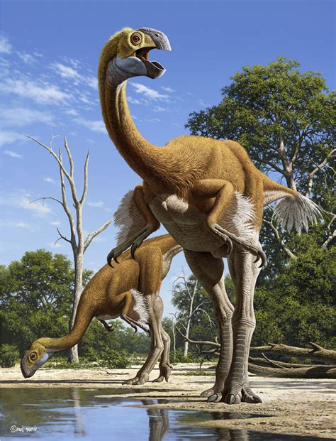 Gigantoraptor Fossil Wiki Fandom