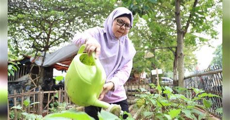 Kisah Emak-Emak di Nusa Jaya Tangerang Tanam Sayur di Lahan Kosong, Bantu Pangan Warga di Tengah ...