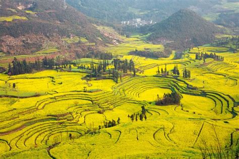 Xiaoping Images Free Download On Freepik