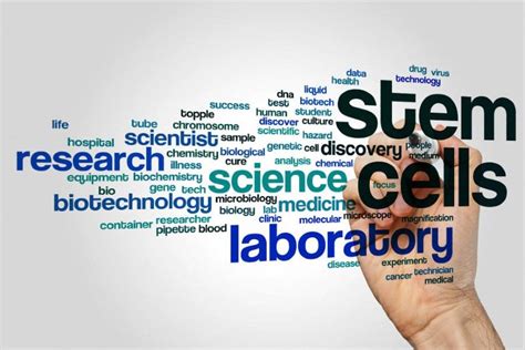 Treating Muscular Dystrophy With Stem Cells Seems Promising