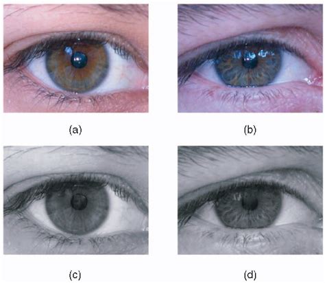Figure From Toward Accurate And Fast Iris Segmentation For Iris Biometrics Semantic Scholar