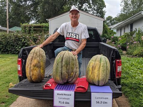 Photos Cantaloupe Sets New World Record At More Than 70 Pounds The