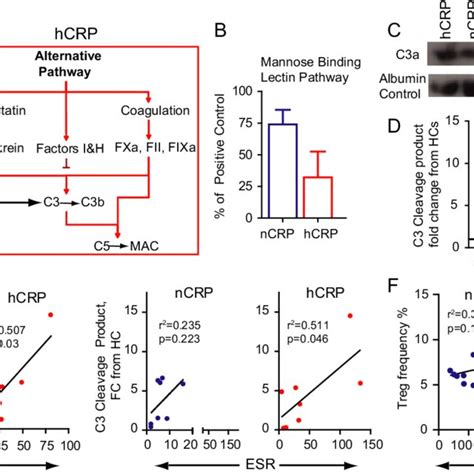 Proteins Associated With The Alternative Complement Pathway Were