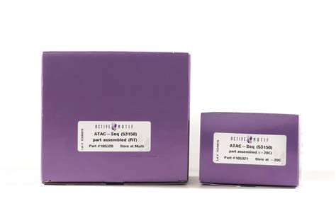 ATAC Seq Kit Analysis Of Open Chromatin Regions