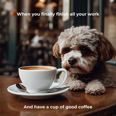 50 Funny Coffee Memes Every Caffeine Addict Can Relate To