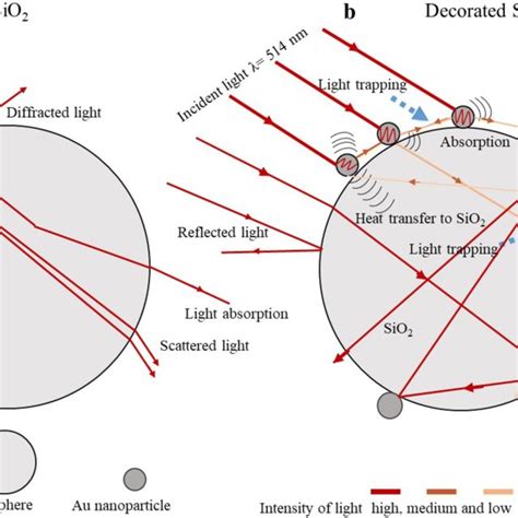 Schematic Representation Of Sio2 Spheres A Before And B After