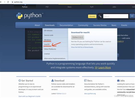 Mac安装python310和配置环境的详细教程因特网
