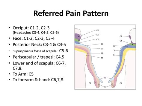Cervical Spine Pain Dr S L Yadav Pptx
