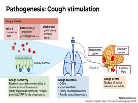 Approach To Coughpptx