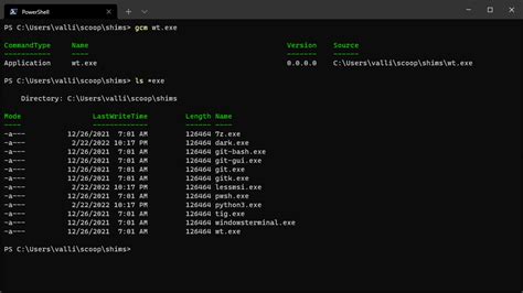 Open Alias Wt Have Unexpected Behavior · Issue 12545 · Microsoftterminal · Github