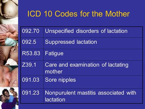 Epic® Breastfeeding 2016 Program “breastfeeding Fundamentals” Ppt Download