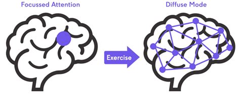 How To Take Care Of Yourself To Improve Learning Physiopedia