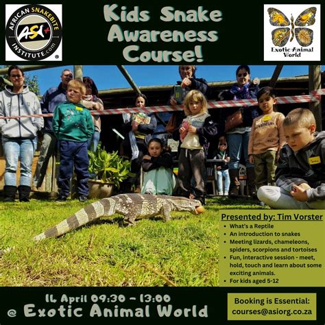 Eagle Encounters Dont You Just Love The Cute Little Face Of A Barn Owl Especially When They