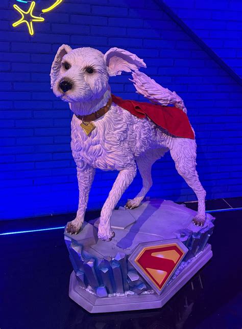 Get A Close Up Look At Supergirls Costume From The 2026 Dc Movie