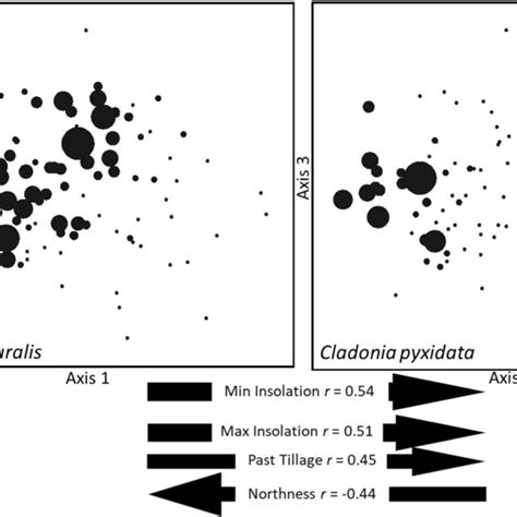 Plots In Nmds Ordination Space Scaled To The Abundance Of 2 Prevalent