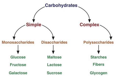 4 2 a closer look at carbohydrates medicine libretexts