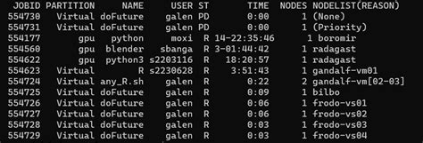 Using Future Batchtools Galen Holt