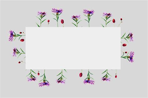 회색 배경에 야생 엉 겅 퀴 꽃의 수채화 직사각형 프레임입니다 축 하 초대장 기념일 공휴일 0명에 대한 스톡 벡터 아트 및 기타 이미지 Istock