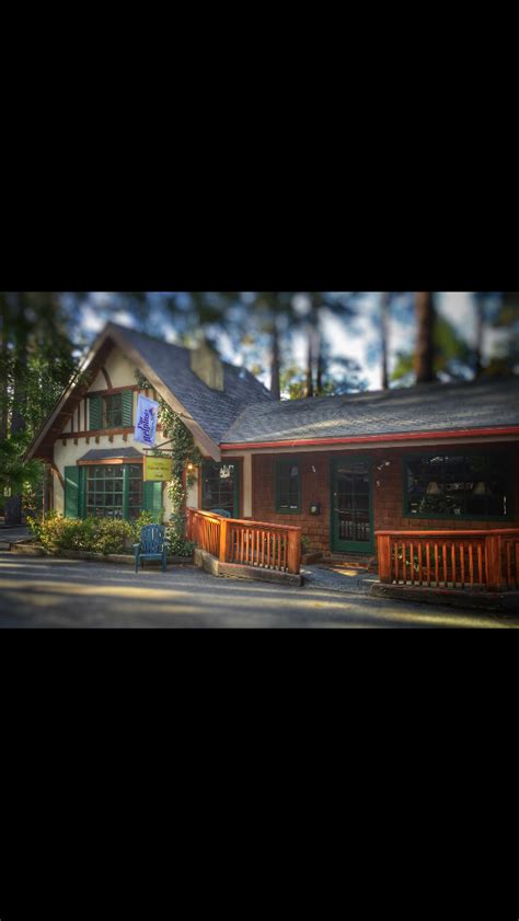 Dr Carol Ann Berg Dds Idyllwild Ca