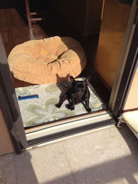 Pin By Paula Gerfen On Gabby Gee Gees Suitcase Gabby