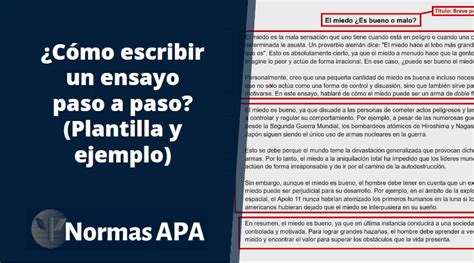 Formato De Ensayo Apa