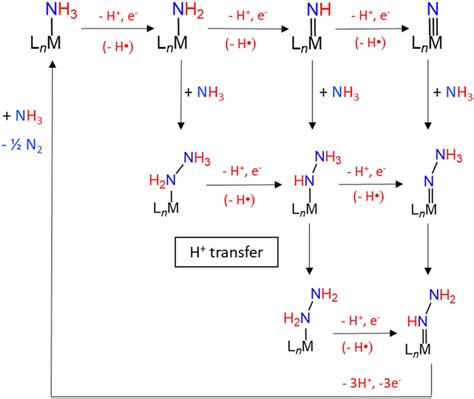 N N Bond Formation And N2 Generation Via Nh3 Nucleophilic Attack On Download Scientific Diagram