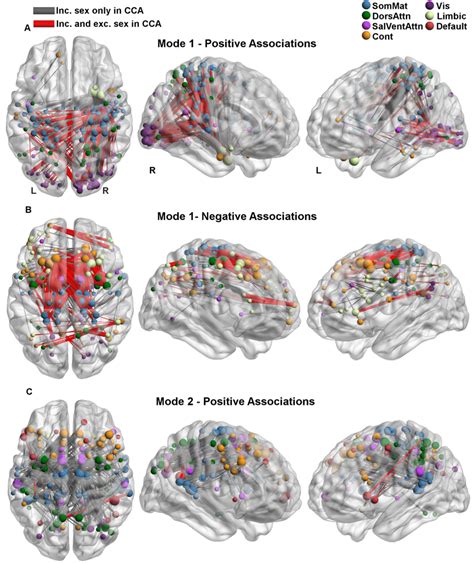 Connectivity Edges Most Strongly Expressed By The Significant Modes Download Scientific Diagram