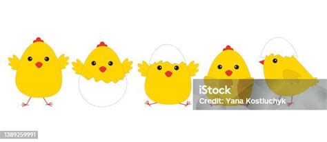 만화 부활절 닭의 세트 재미있는 닭은 흰색 배경에 있습니다 디자인과 인쇄를 위한 광택 귀여운에 대한 스톡 벡터 아트 및 기타 이미지 귀여운 노랑 닭 Istock