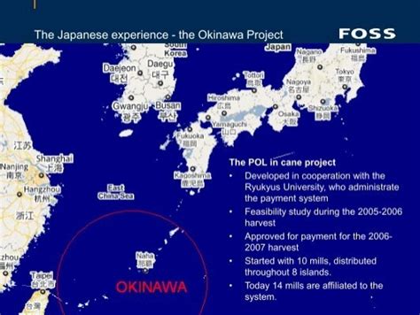 The Japanese Experience