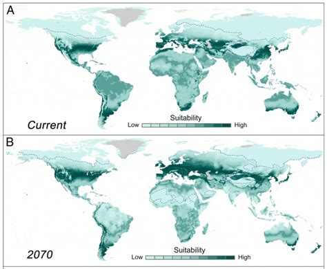 Climate Boomtowns And Receiver Cities
