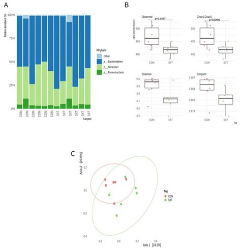 Cells An Open Access Journal From Mdpi