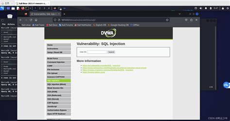 78、linux 搭建dvwa时创建数据库显示access Denied For User‘dvwa‘localhost Using